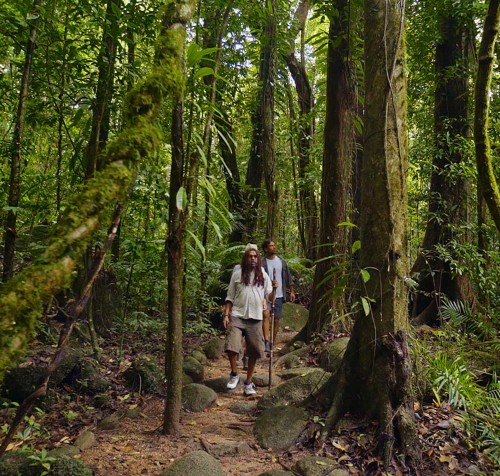 Silky Oaks Lodge - Destination